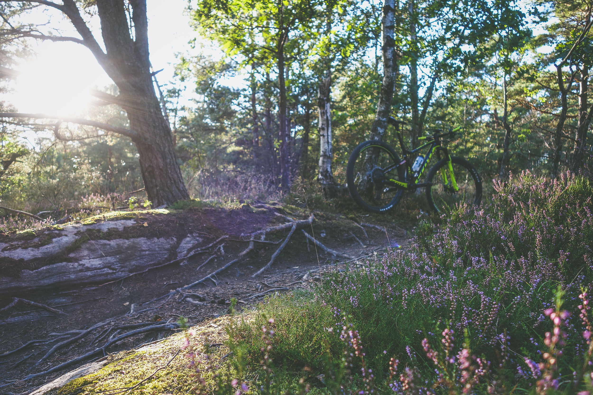 mountainbike-sm-stenig_stig_ljung-2 - Elna Dahlstrand